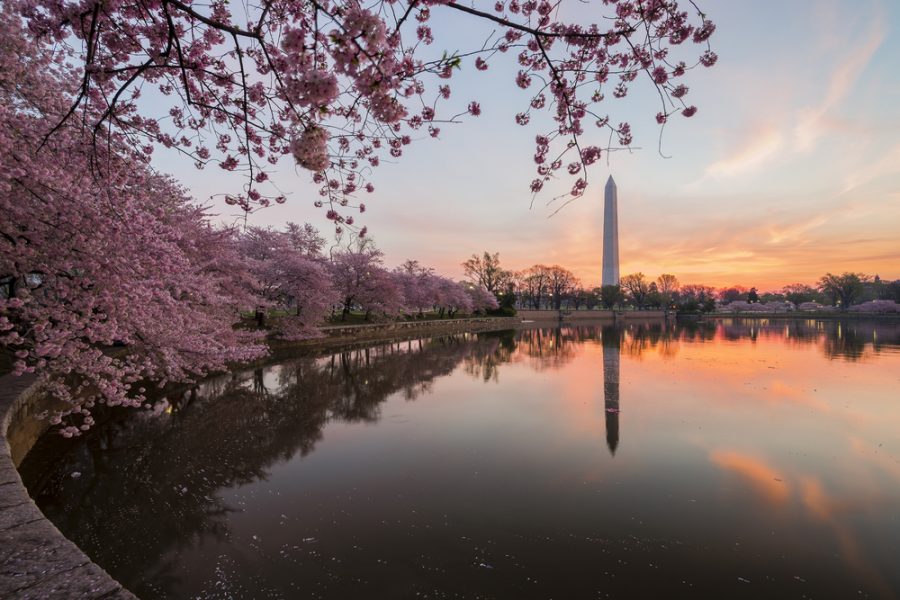 The List: March 2019 - Baltimore Magazine