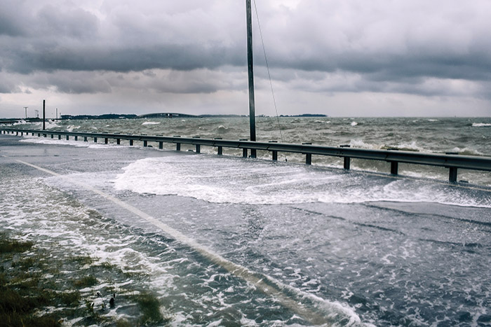 The Sea Also Rises - Baltimore Magazine