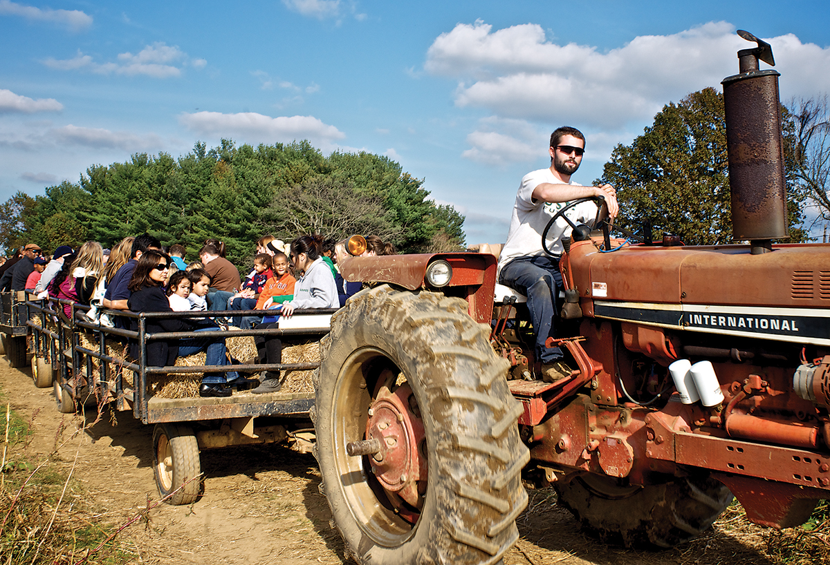 Down on the Farm - Baltimore Magazine