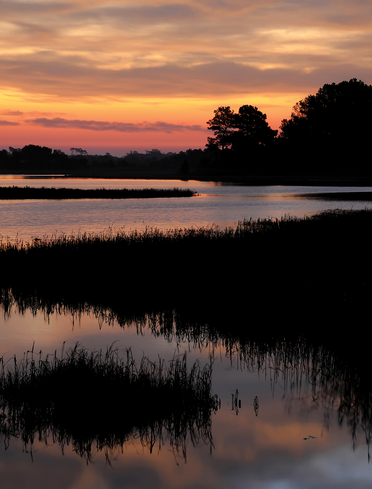 Eastern Shore Guide - Baltimore Magazine