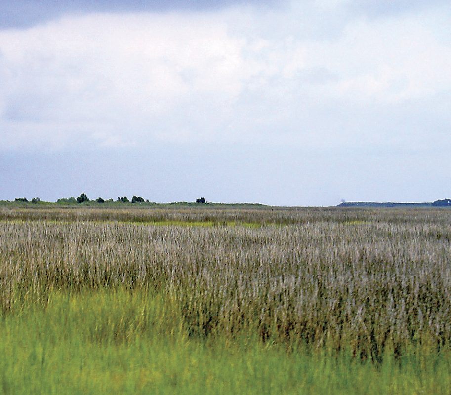 Guide to the Eastern Shore Islands - Baltimore Magazine