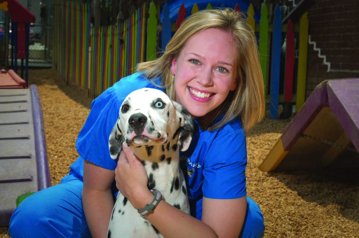 Falls Road Animal Hospital - Baltimore Magazine