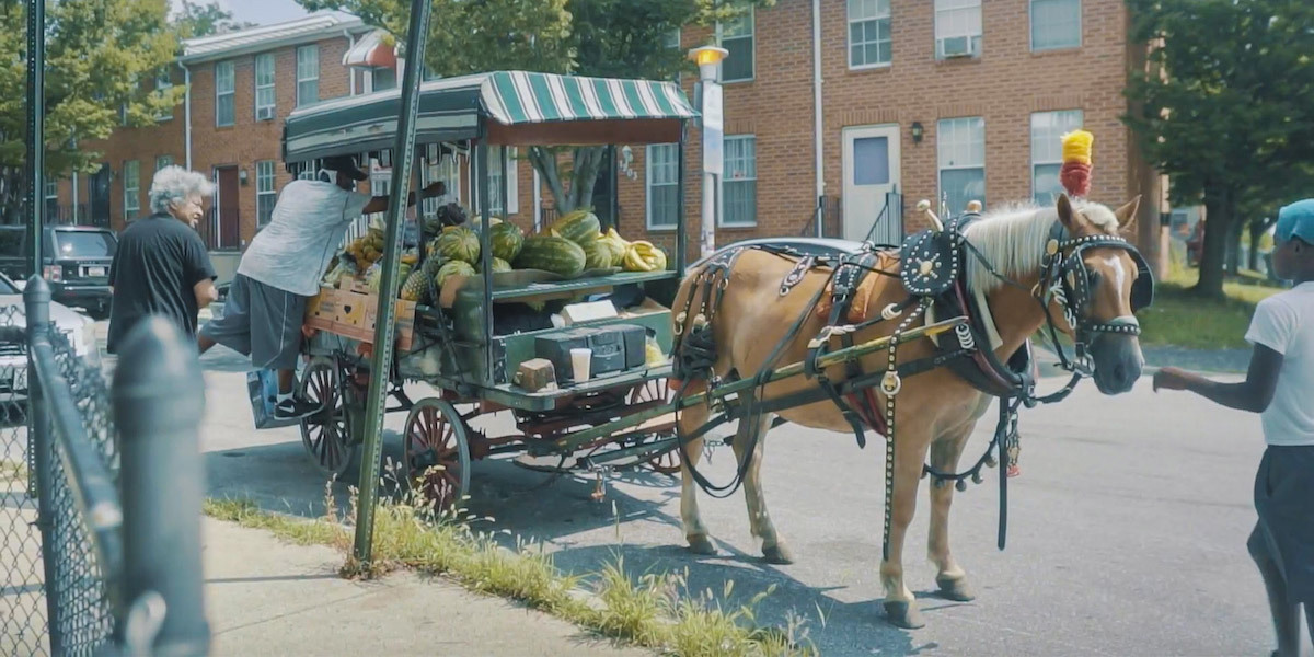 Stories that Matter: Preserving the Arabber Tradition - Baltimore Magazine