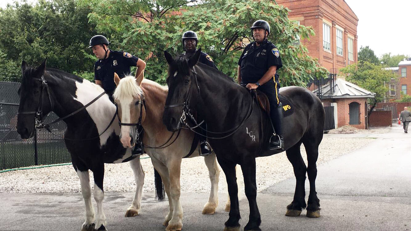 Baltimore Police Mounted Unit to Add Horses and State-of-the-Art Stable ...