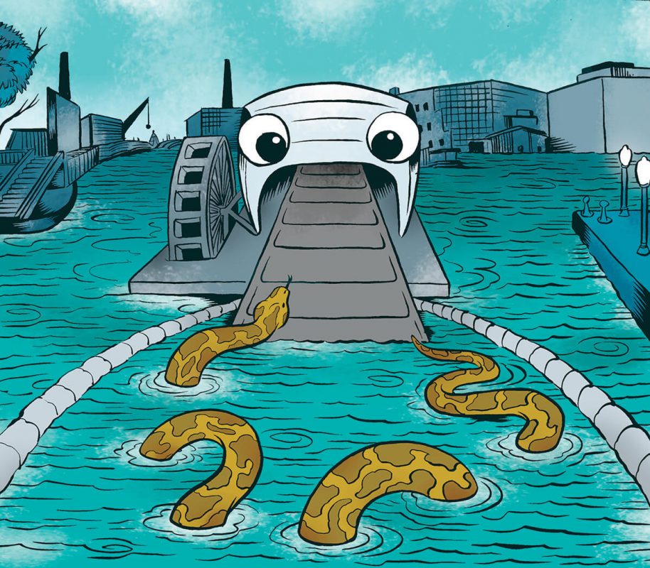 Diets of Debris - Baltimore Magazine