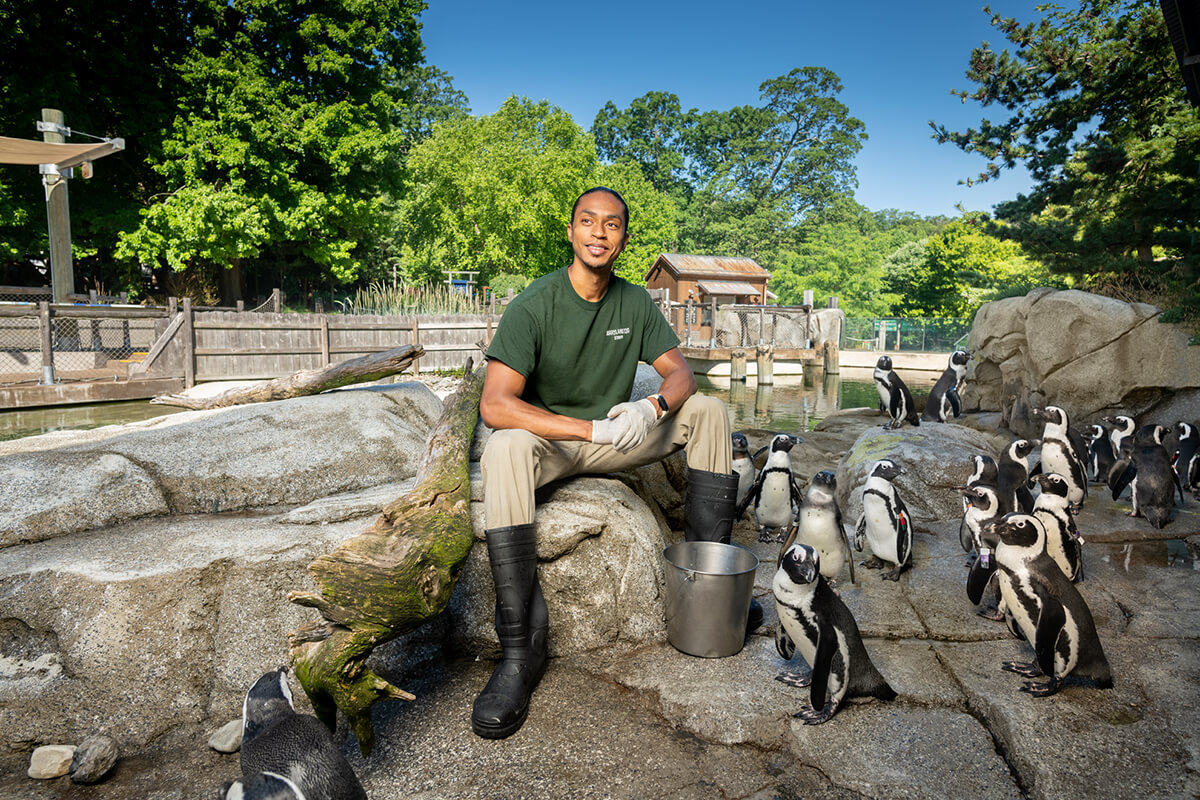 The Gates Have Reopened at The Maryland Zoo