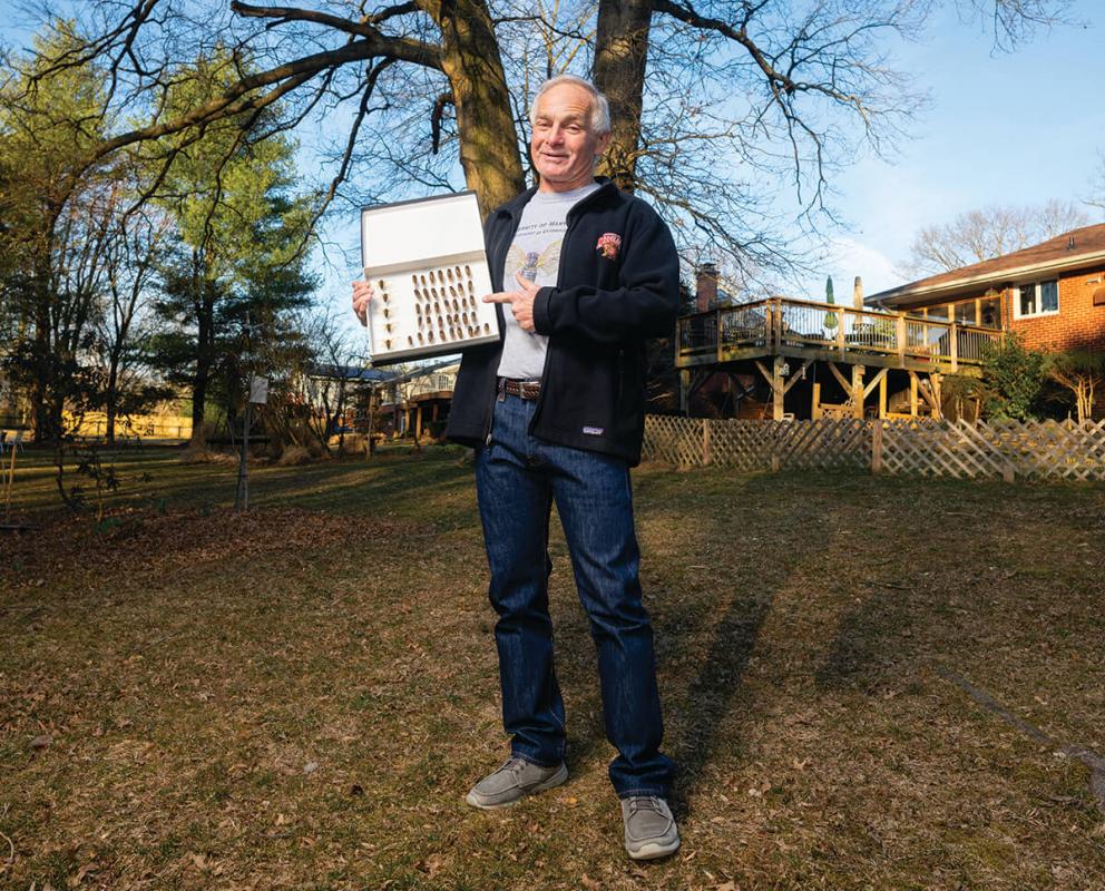 The Great Cicada Invasion Returns to Maryland