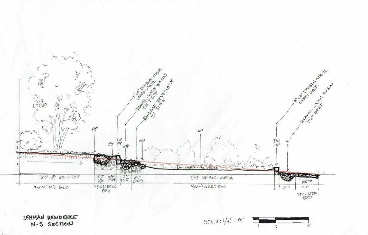 Everything You Need to Know About Building a Rain Garden
