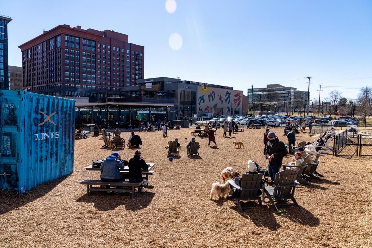 What Dog Owners (and Their Pups) Can Expect When Bark Social Arrives in ...