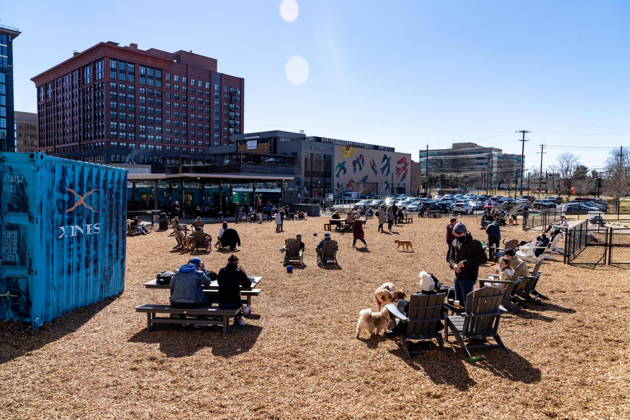 What Dog Owners (and Their Pups) Can Expect When Bark Social Arrives in ...