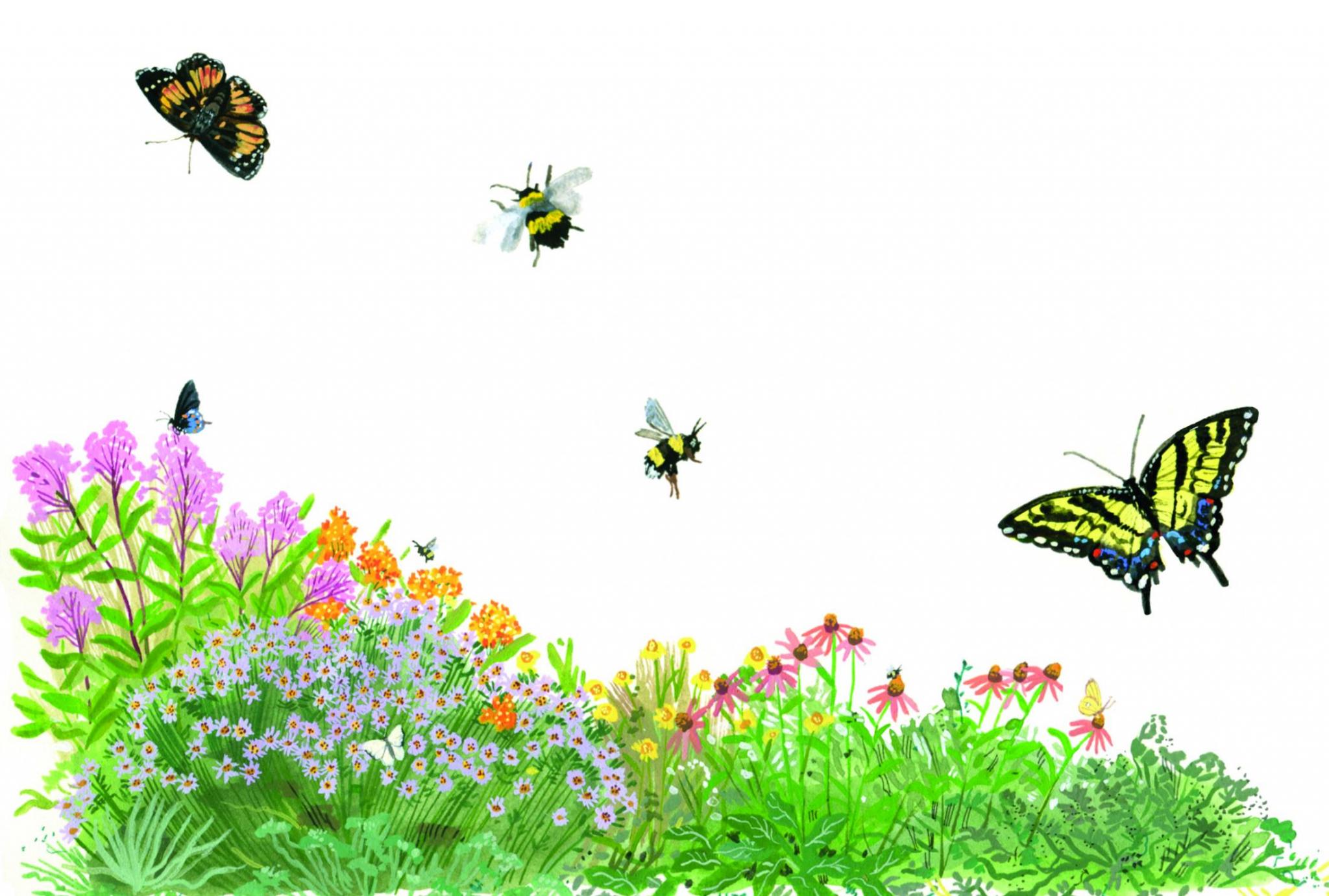 Native Plants: A Local’s Guide to Keeping Horticulture Close to Home