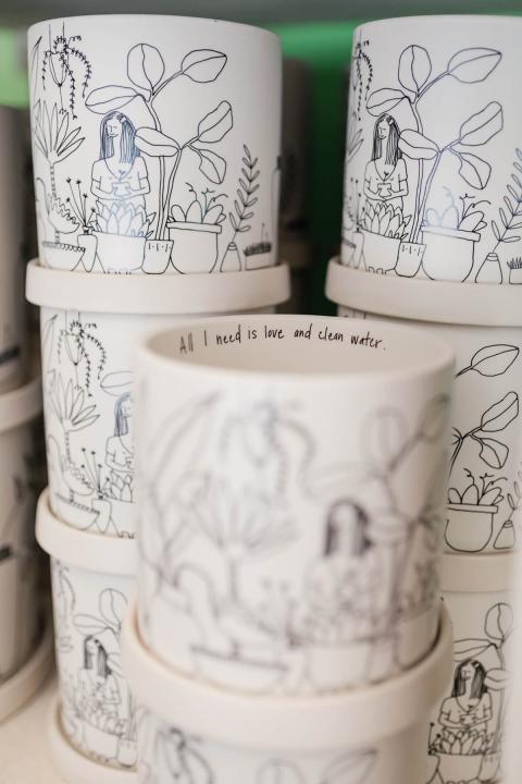 Ten of the Most Delightful Plant Shops Around Baltimore