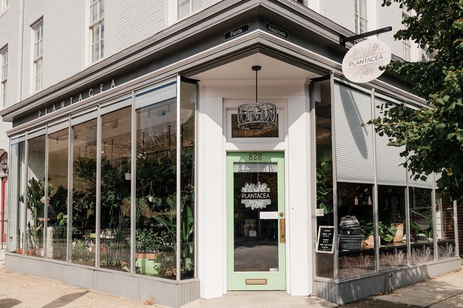 Ten of the Most Delightful Plant Shops Around Baltimore
