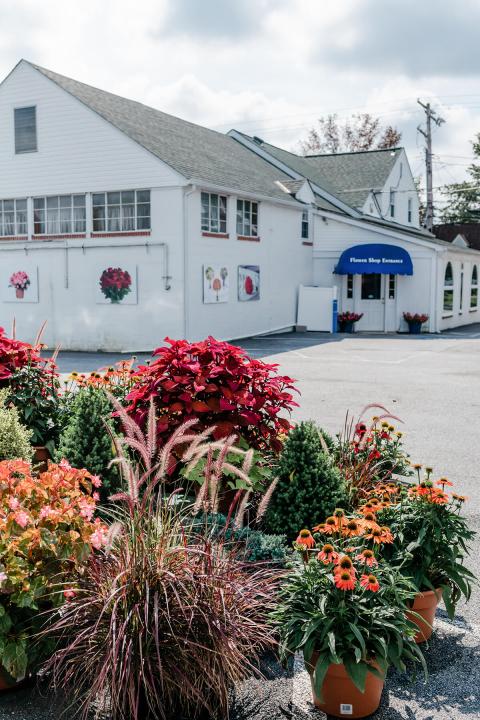 Ten of the Most Delightful Plant Shops Around Baltimore
