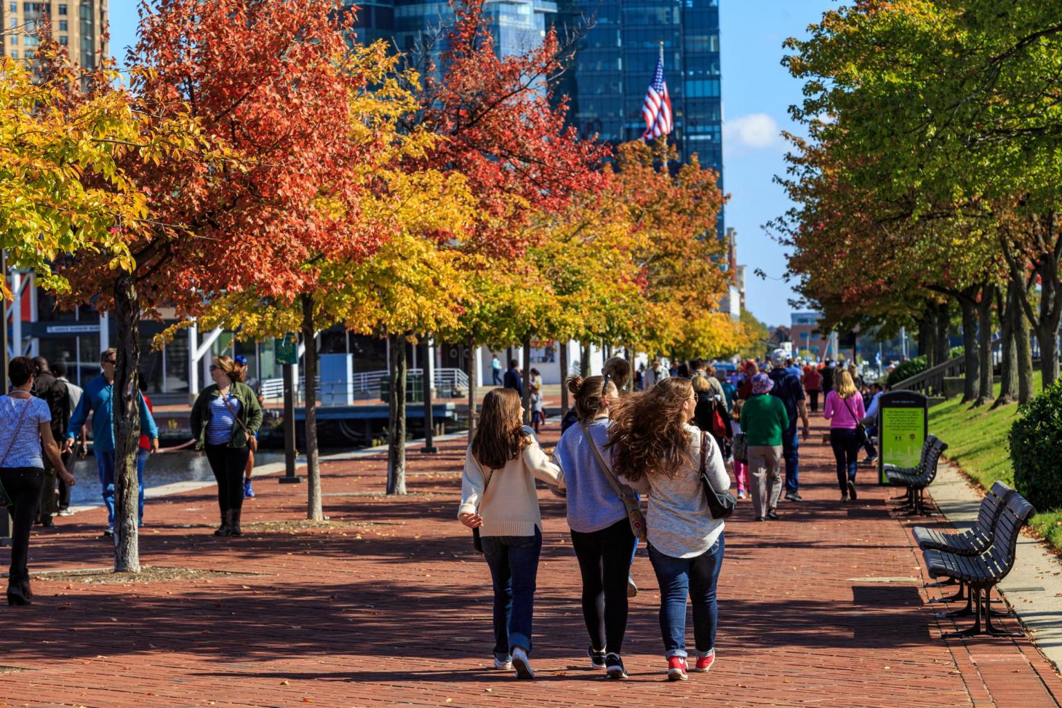 Beautiful Destinations to Experience Fall Foliage in Baltimore and Beyond