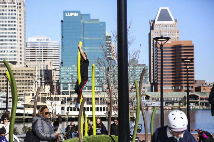 A Wholly Reimagined Rash Field Makes its Debut at the Inner Harbor