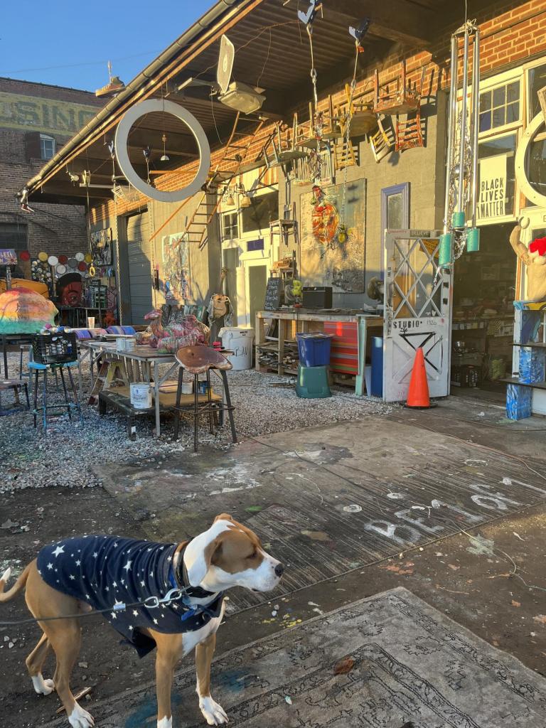 Phoenix Art Yard’s Latest Exhibit Celebrates Survival and Rebirth