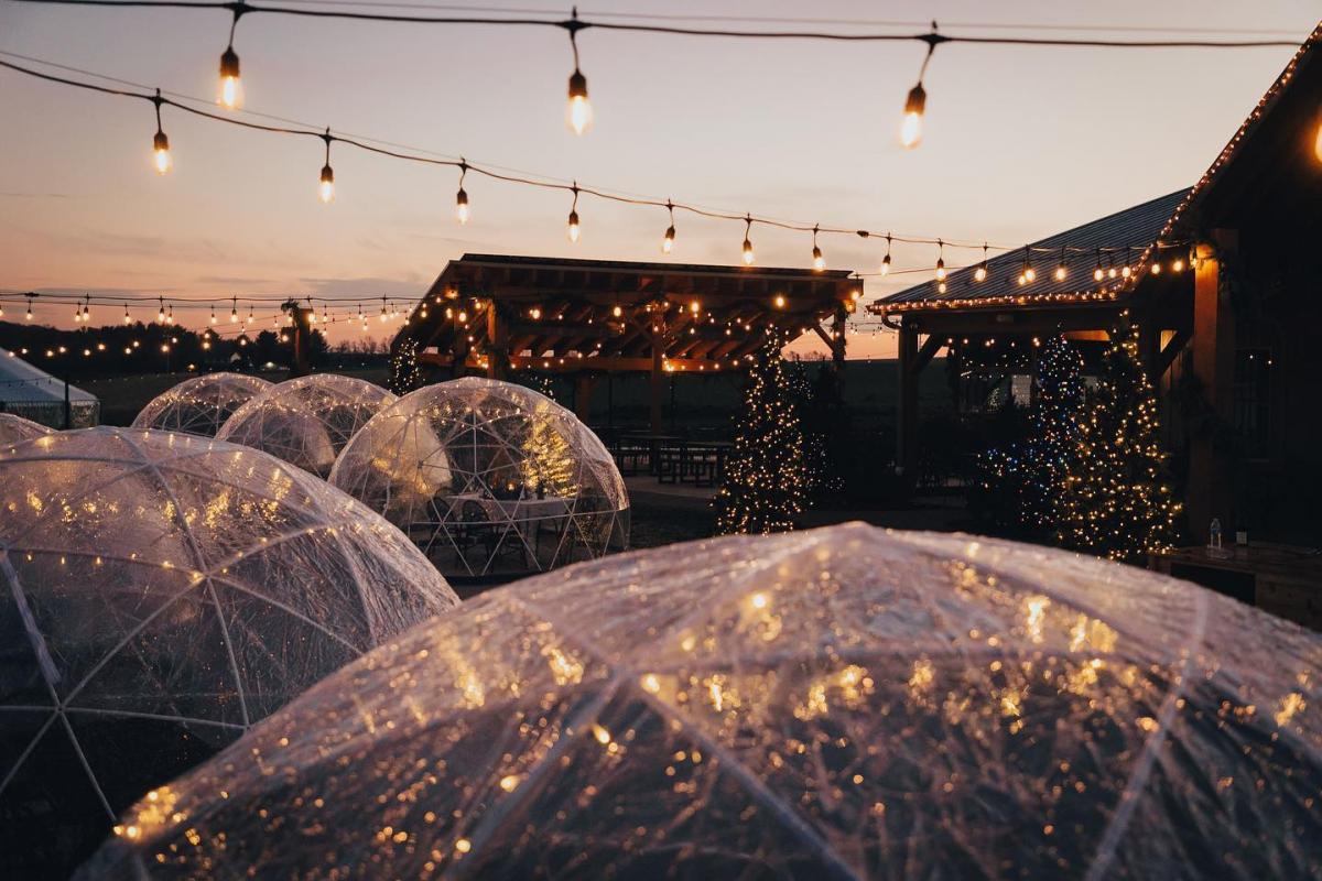 Holiday Light Shows and Drive-Thru Displays to Check Out This Month
