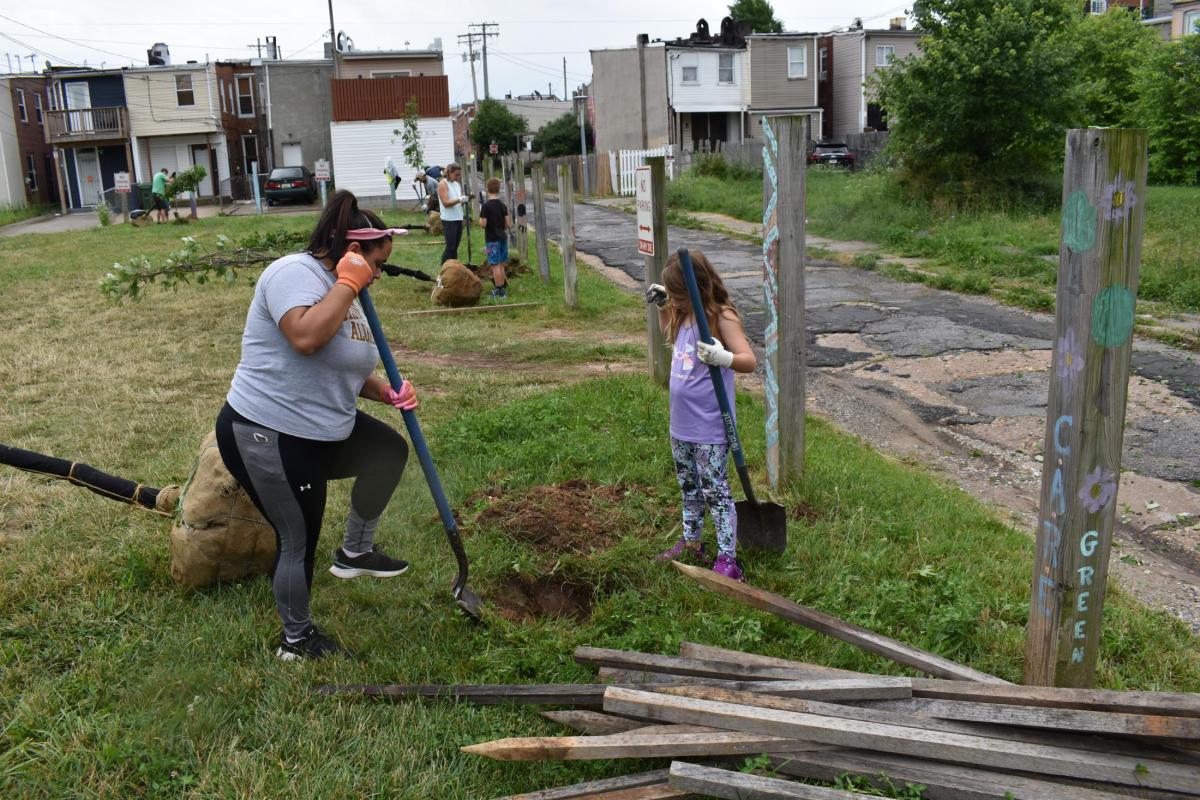 How Baltimore Tree Trust Plans to Grow The City’s Tree Canopy