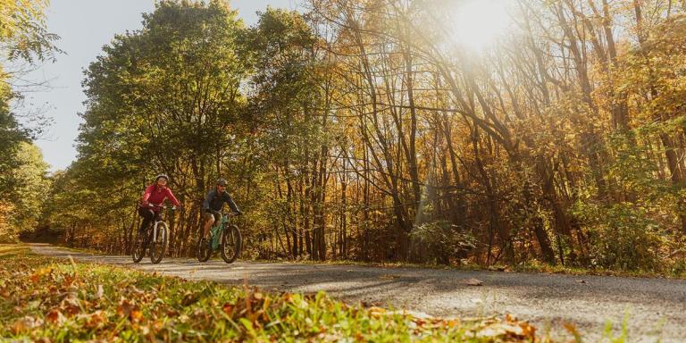 Follow Your Trail - Baltimore Magazine