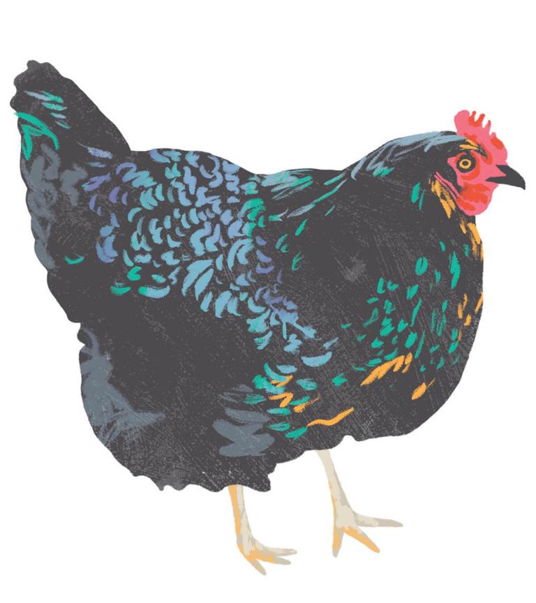 Thanks to The Pandemic, People Are Flocking to a New Trend: Backyard ...