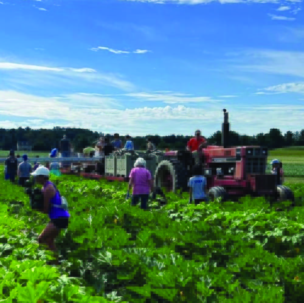 First Fruits Farm - Baltimore Magazine