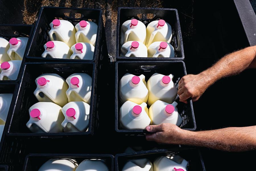Two Sisters Become the Next Generation to Milk Cows at Broom’s Bloom Dairy