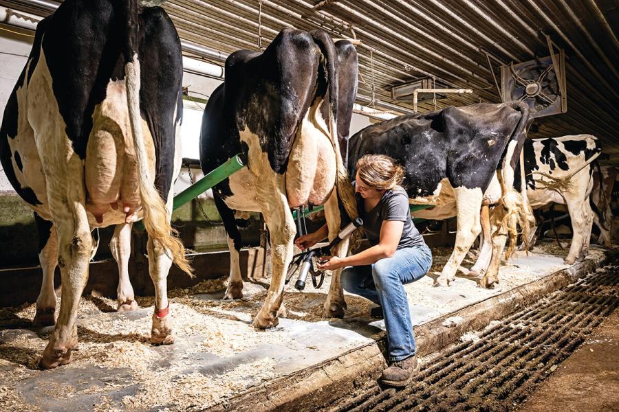 Two Sisters Become the Next Generation to Milk Cows at Broom’s Bloom Dairy