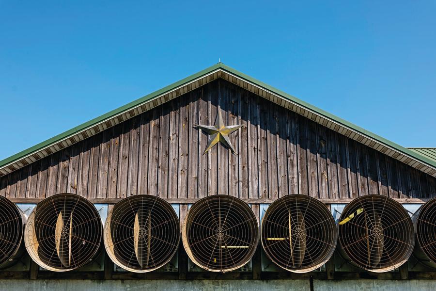 Two Sisters Become the Next Generation to Milk Cows at Broom’s Bloom Dairy