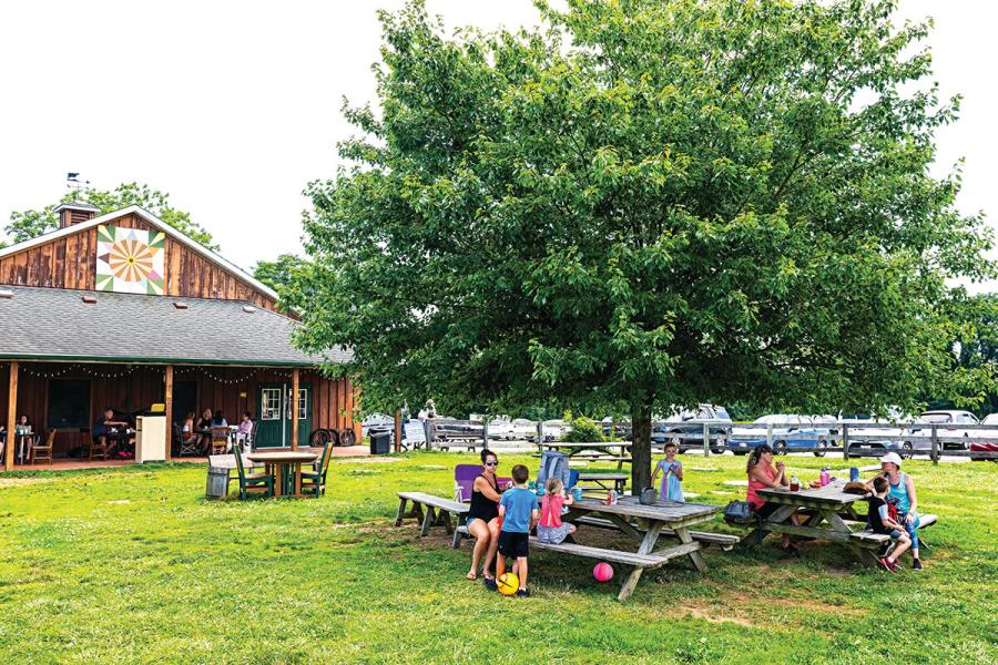 Two Sisters Become the Next Generation to Milk Cows at Broom’s Bloom Dairy