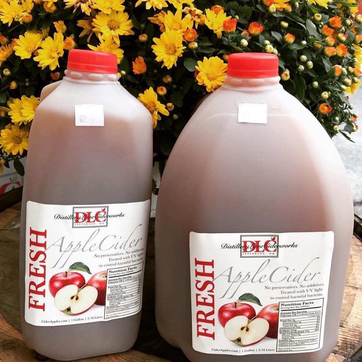 The Best Apple Cider Destinations Around Baltimore