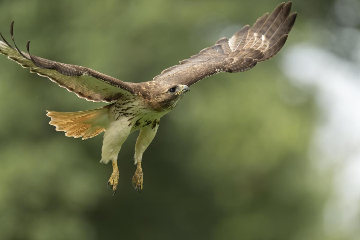 Artist James Evans Uses Photographs and Words to Combat Prejudice in Nature