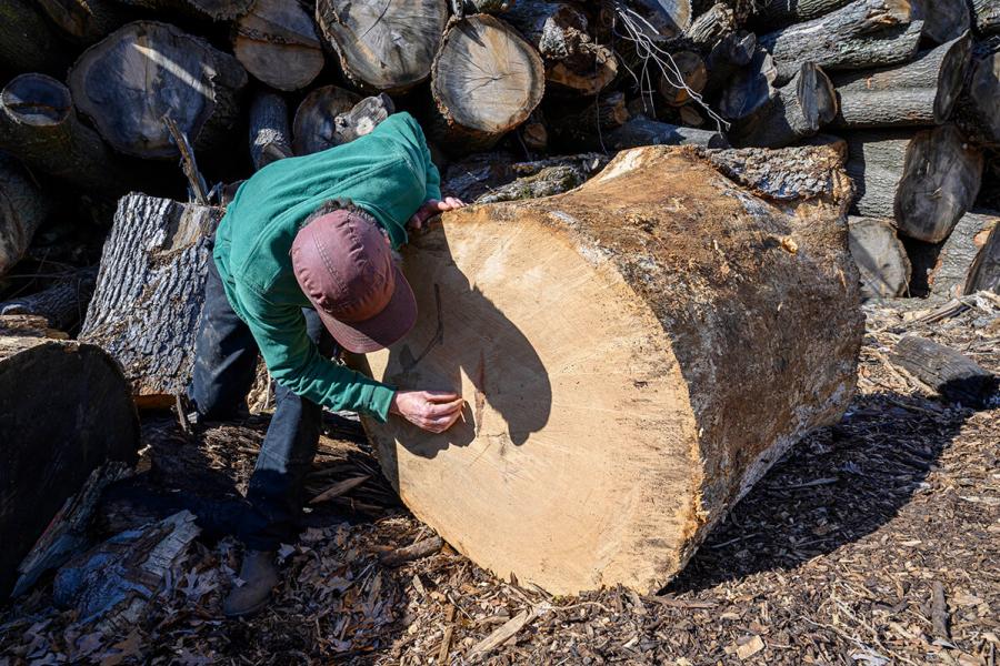 At Camp Small, City Foresters Give Local Trees a Second Life