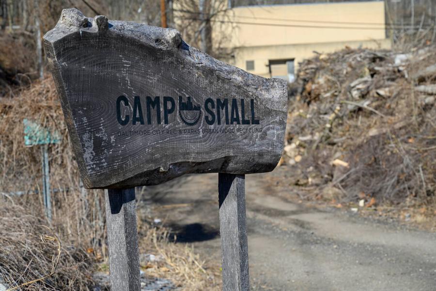 At Camp Small, City Foresters Give Local Trees a Second Life