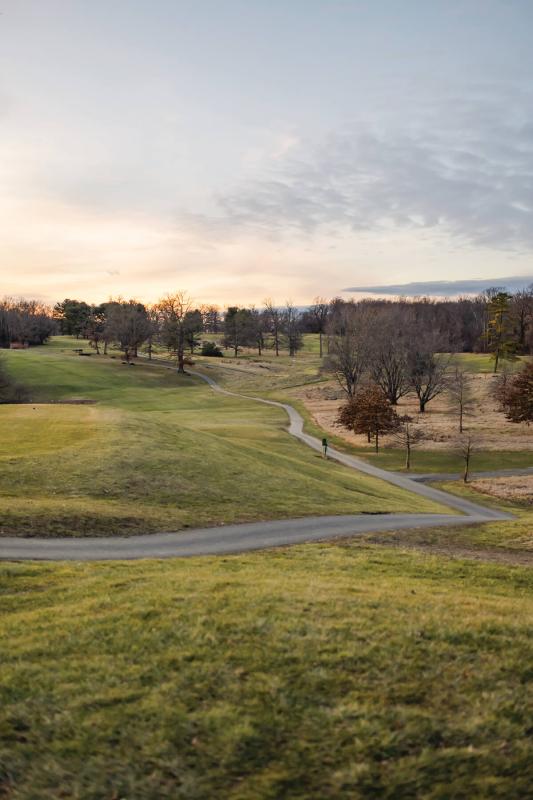 Hello, Neighbor: Everything You Need to Know About Living in Howard Park