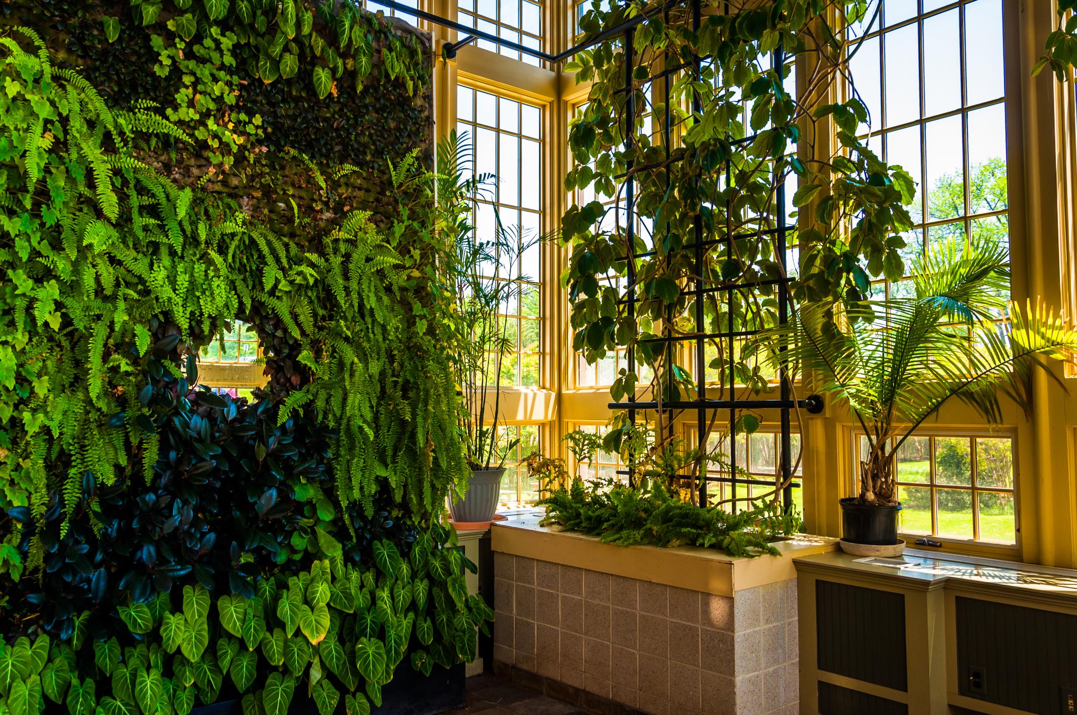 Free Things To Do In Baltimore This Summer