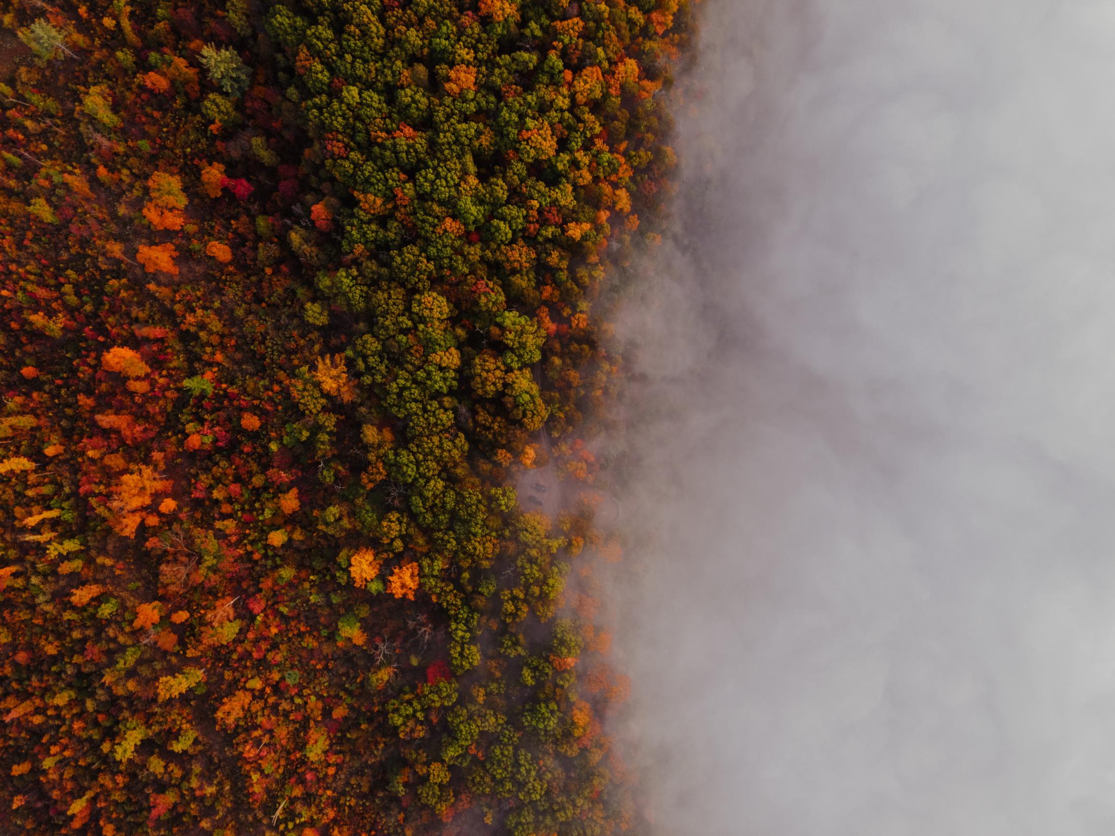 The Mountain Side of Maryland - Baltimore Magazine