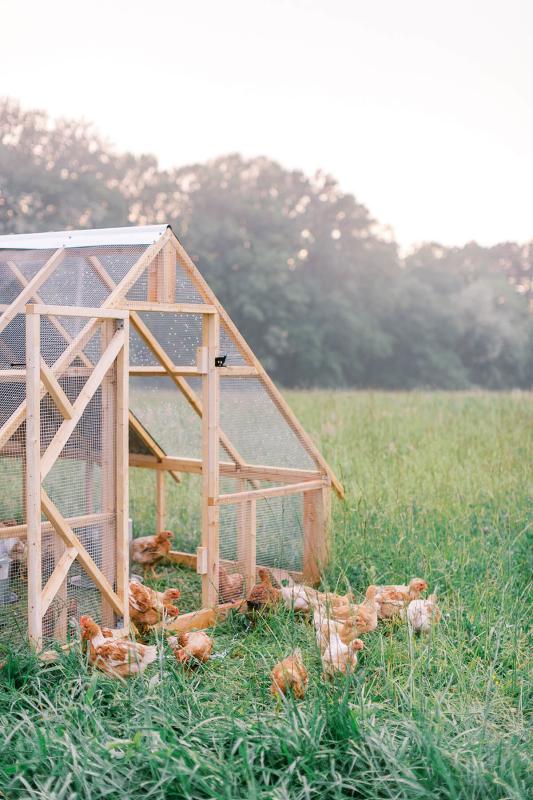 MistyGlen, a 40-Acre Regenerative Farm in Fallston, is a Family Affair