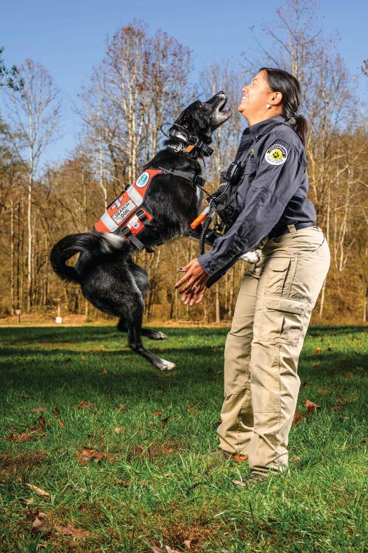 For the Lost or Missing in MD, These Search Dogs Really Are Humankind’s ...