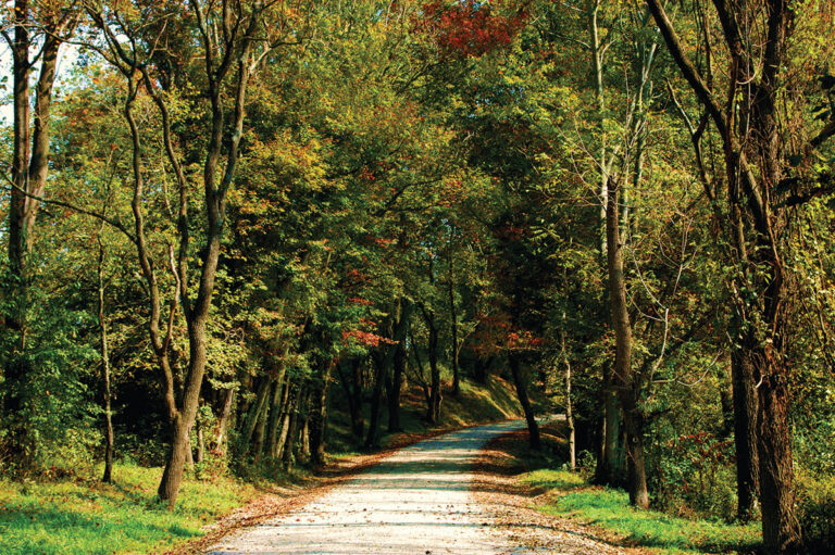 Fair Hill is a Hidden-Gem State Park Brimming with Pastoral Beauty