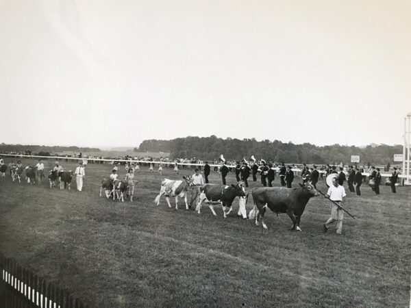 Fair Hill is a Hidden-Gem State Park Brimming with Pastoral Beauty