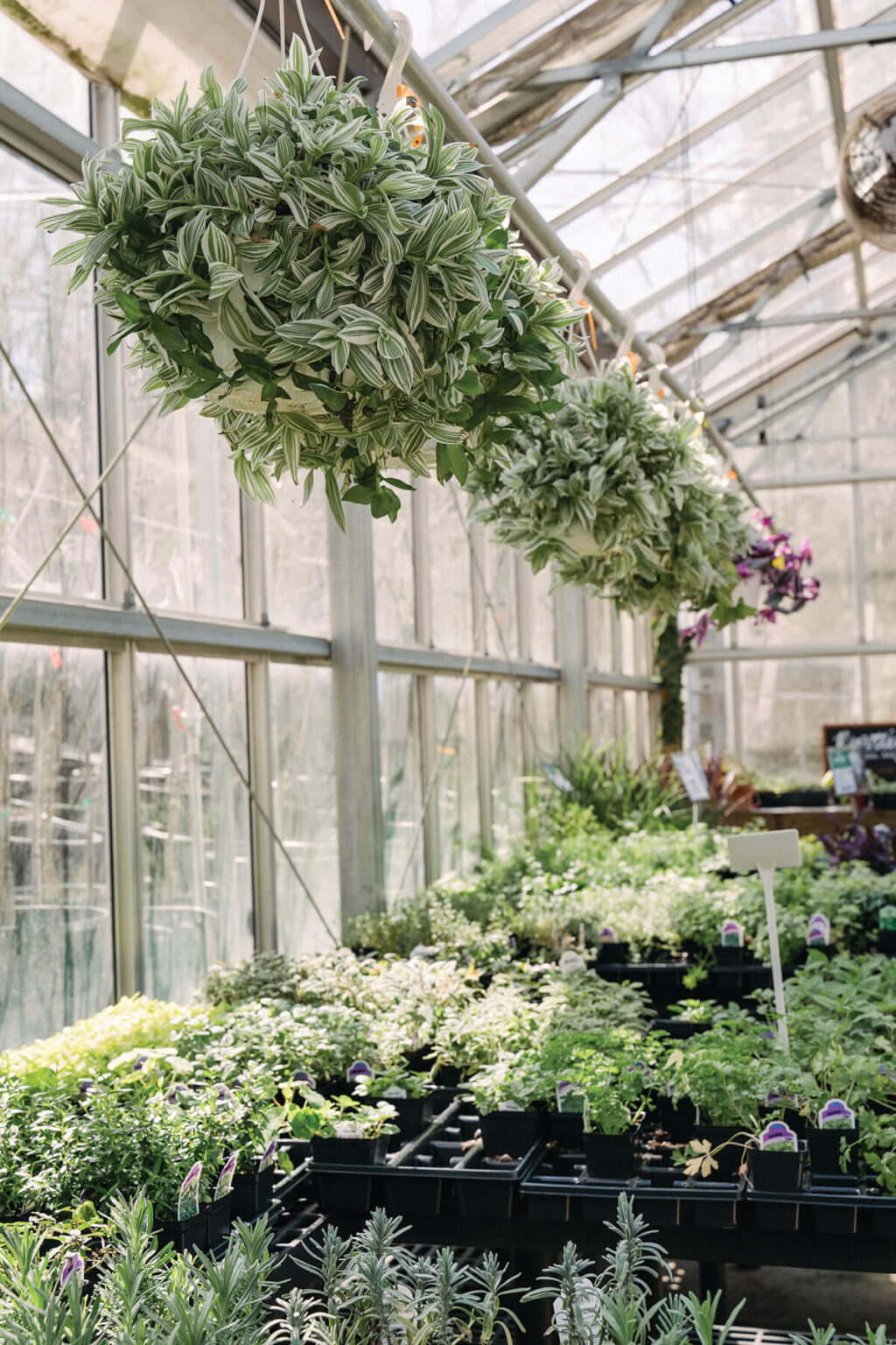Fifteen Local Nurseries to Help Get Your Garden Growing