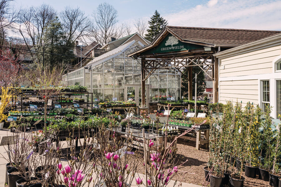 Fifteen Local Nurseries to Help Get Your Garden Growing