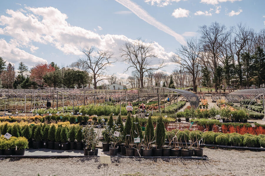 Fifteen Local Nurseries to Help Get Your Garden Growing