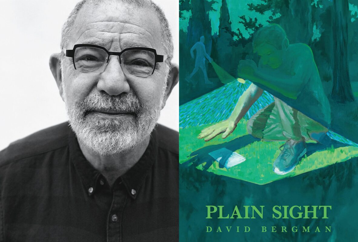 David Bergman’s ‘Plain Sight’ is a Wake-Up Call to See the Wonder in ...