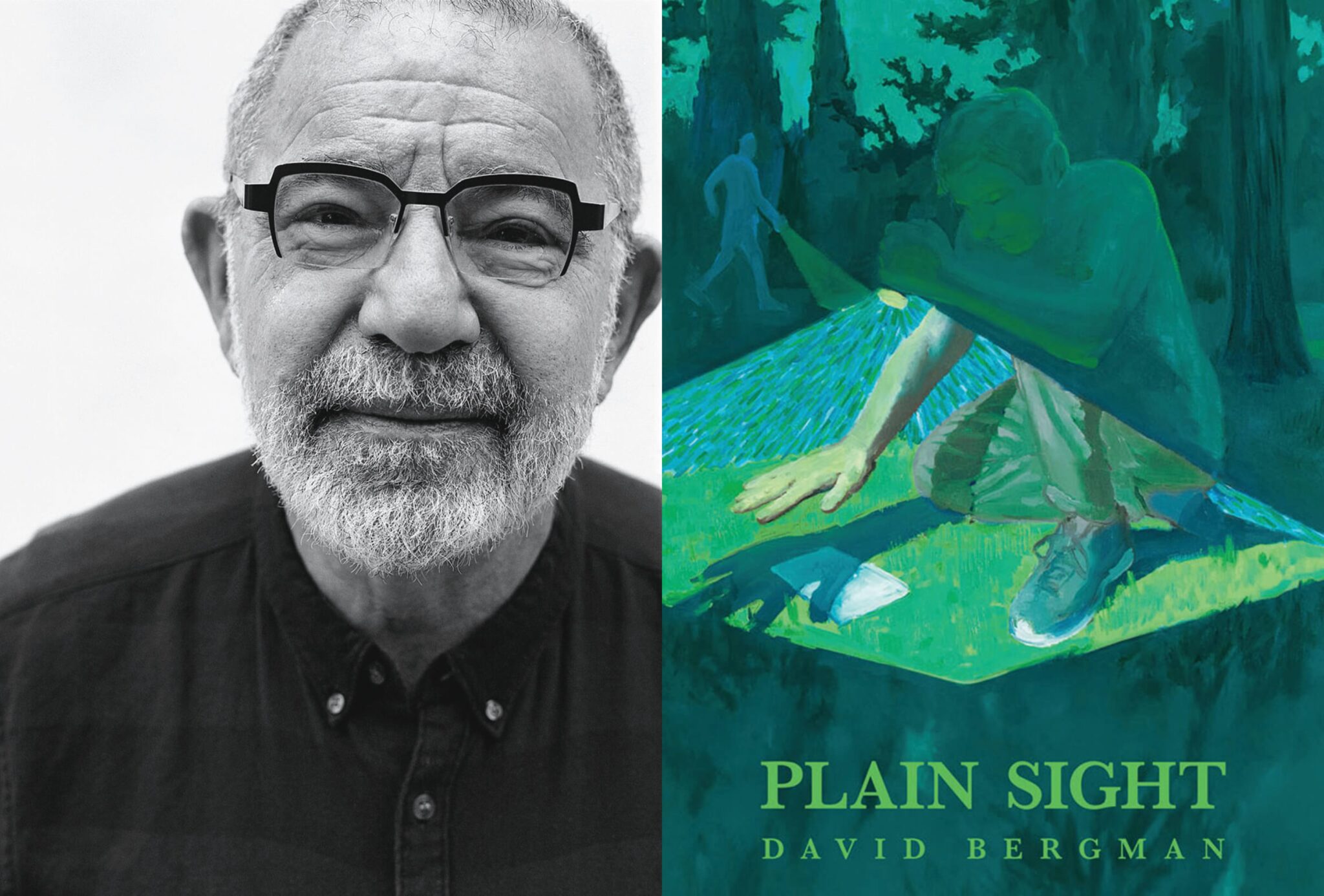 David Bergman’s ‘Plain Sight’ is a Wake-Up Call to See the Wonder in ...