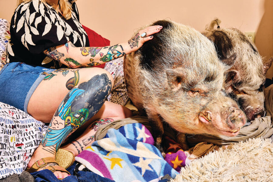 How Jesse Sandlin Became One of Baltimore’s Top Chefs