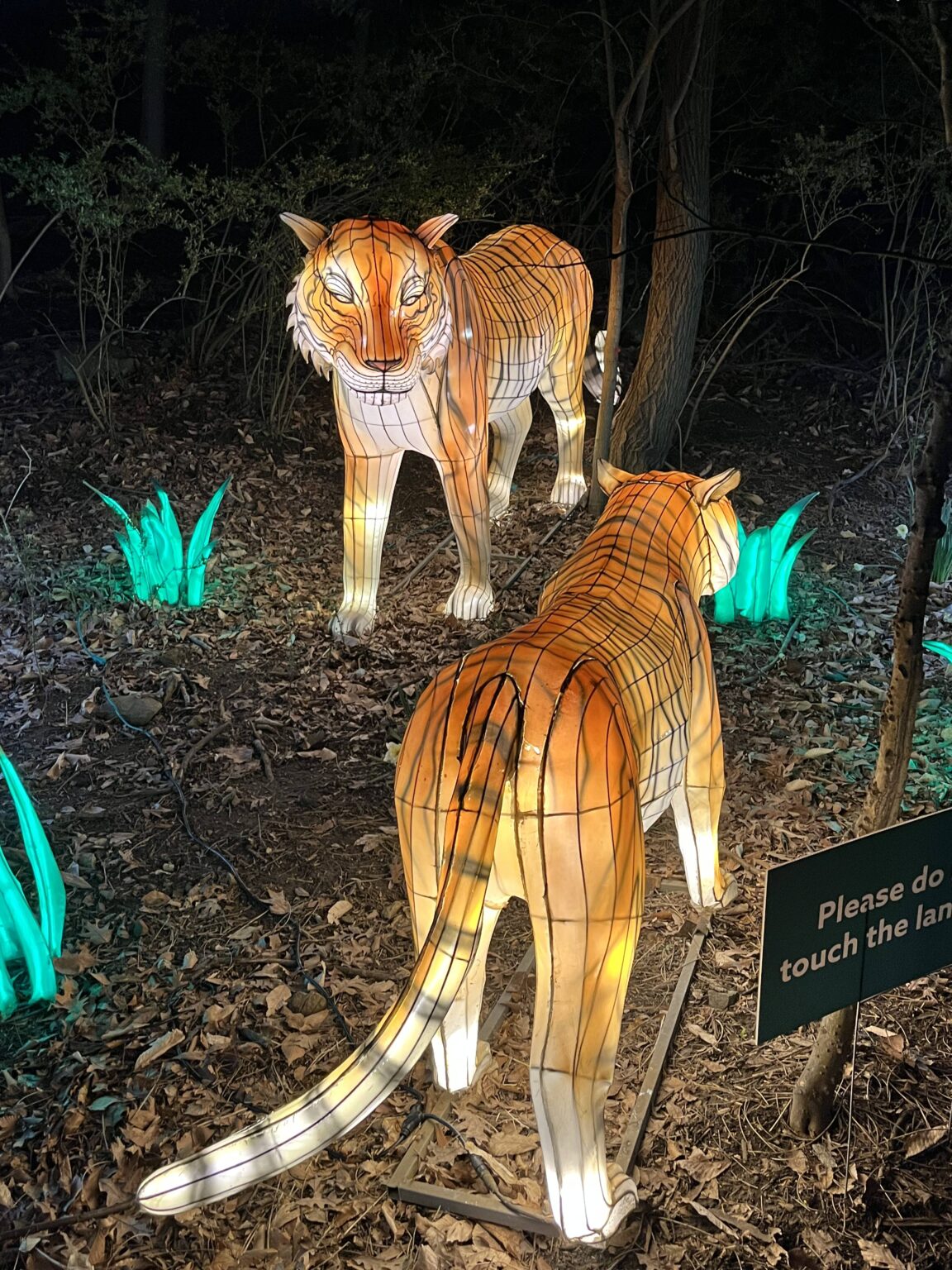 The Maryland Zoo’s New Lantern Festival is a Must-See for Spring