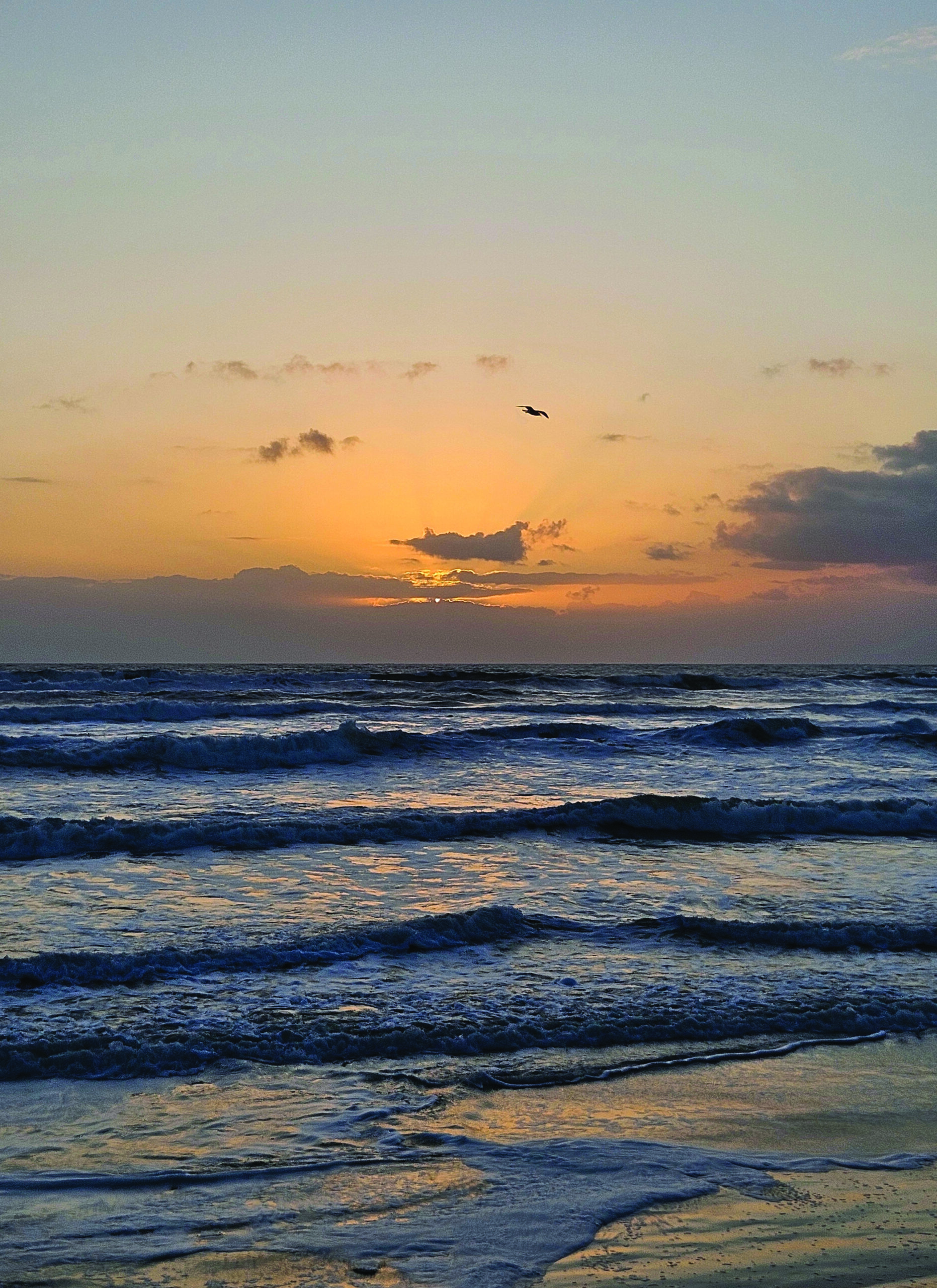 Adventures with Ava: A Meteorologist’s Guide to Learning Science at the ...