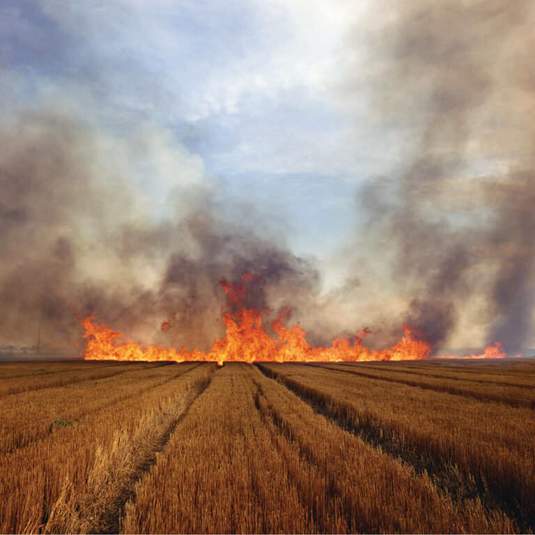 The BMA’s ‘Turn Again to Earth’ Series Digs Deep Into the Realities of Climate Change